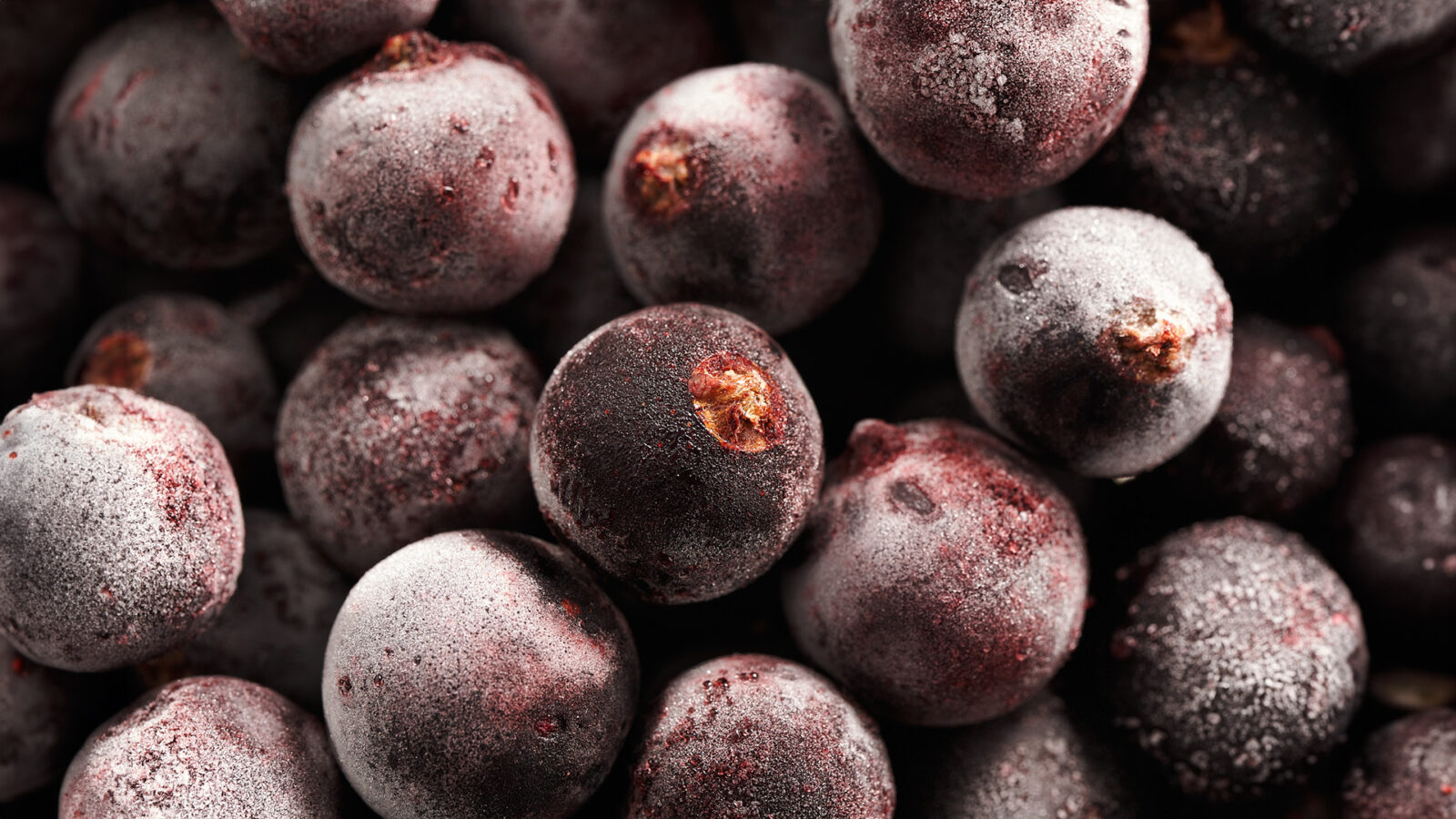 GROSELLA NEGRA - Frotz